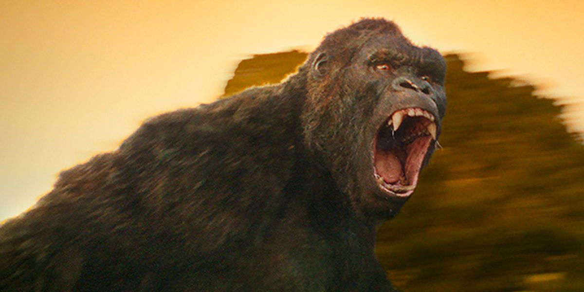 Legendary's King Kong-Godzilla Universe Now Has a Name | CBR