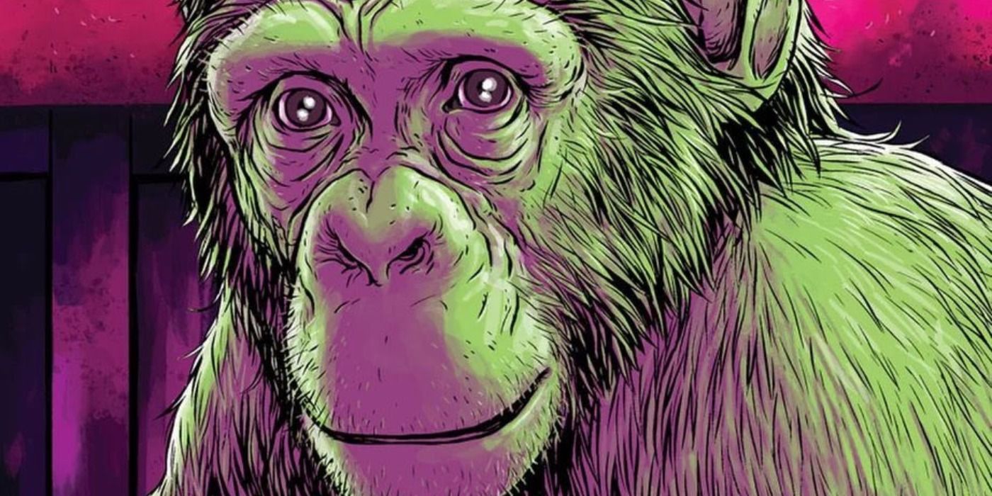 Beast Boy Returns to the Doom Patrol this September | CBR