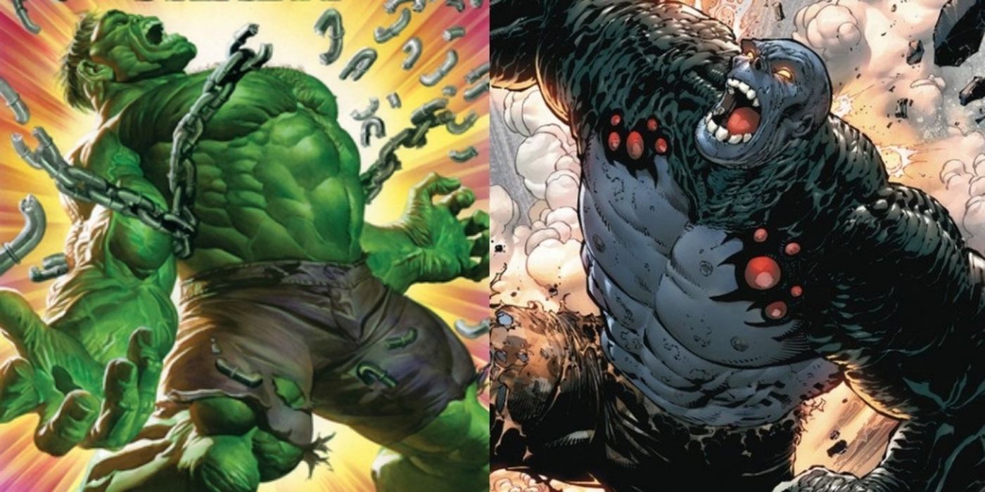 Immortal Hulk Vs Damage: Who Would Win? | CBR