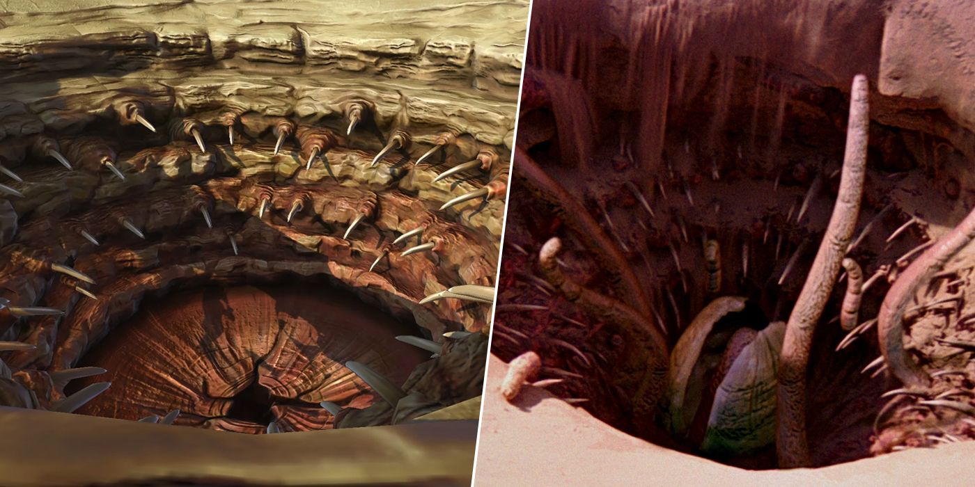 Sarlacc Anatomy
