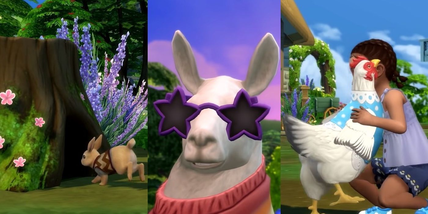 Sims 4: How To Keep Your Chickens Alive & 9 Other Things You Didn't ...
