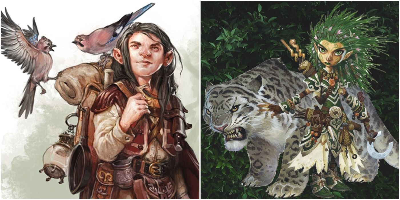 D&D: 5 Ways Druid Is The Best Beginner Class (& 5 Ways It's Not)