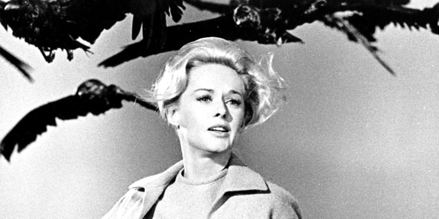 The Birds: What Caused the Birds to Go Mad in Hitchcock’s Film?