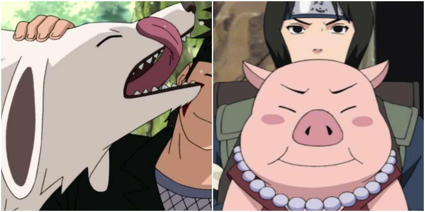 Naruto: Akamaru And 8 Other Animal Companions In The Anime | CBR