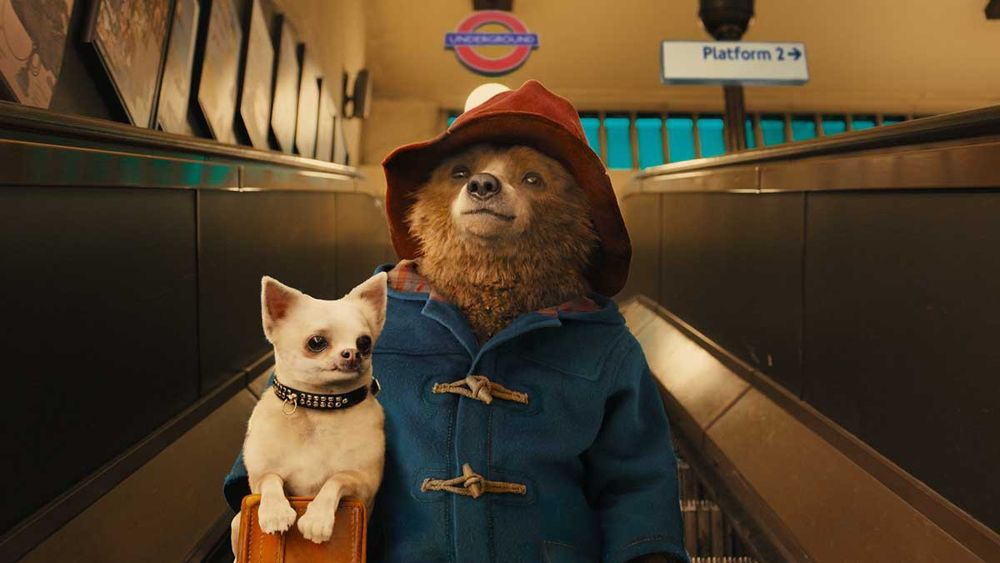 'Harry Potter' Producer David Heyman Works His Magic On 'Paddington'